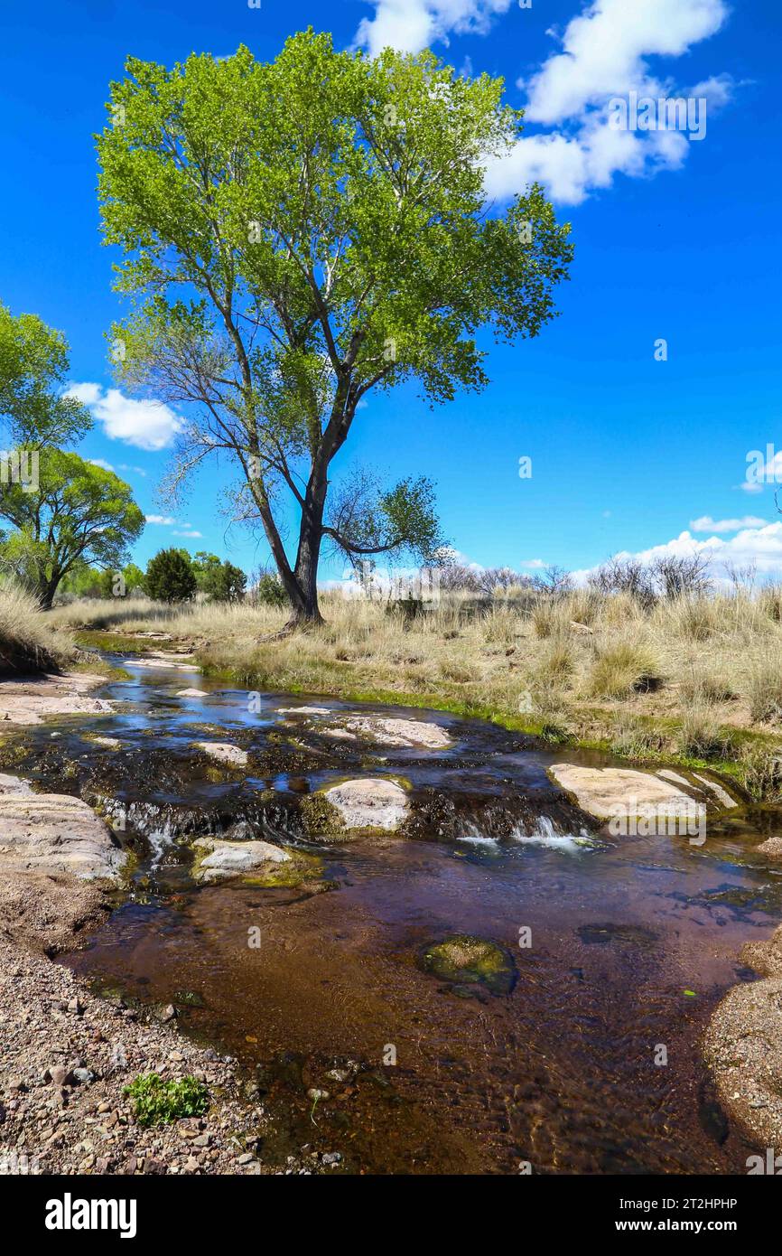 Conservacionista de la naturaleza hi-res stock photography and images ...