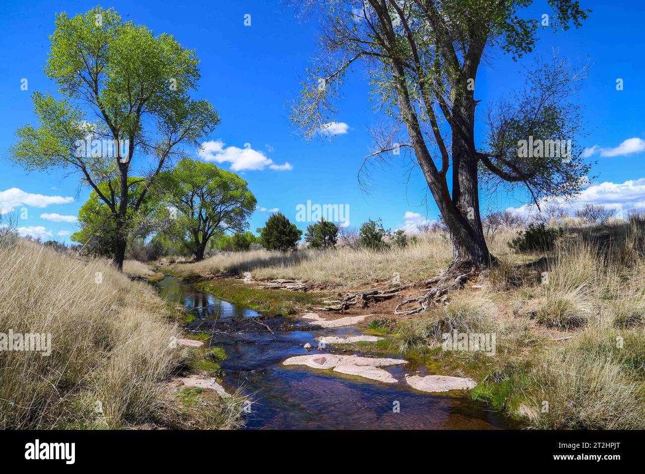Stream of water. The San Pedro River Basin in the Rancho Los Fresnos of ...