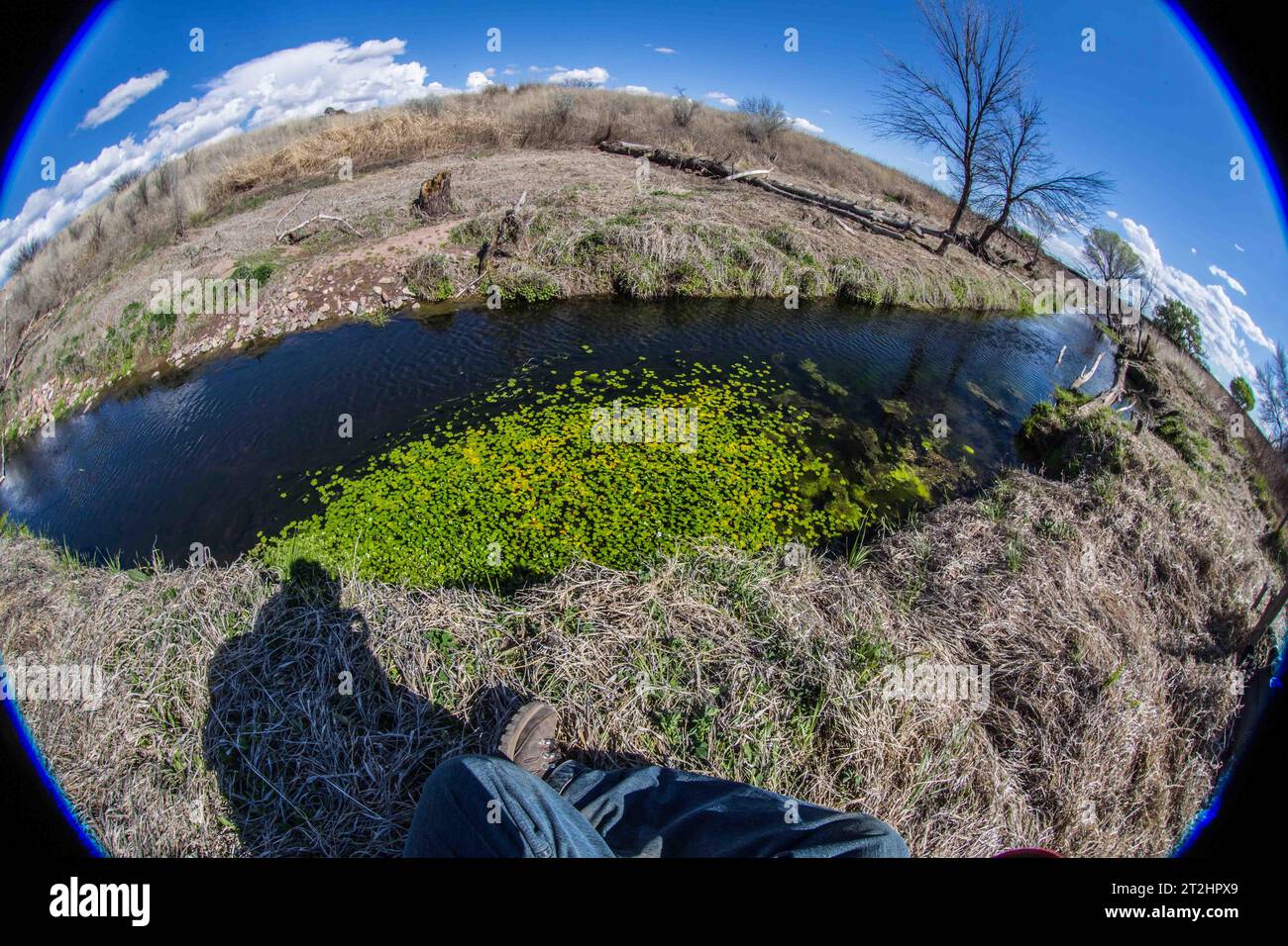 Stream of water. The San Pedro River Basin in the Rancho Los Fresnos of ...