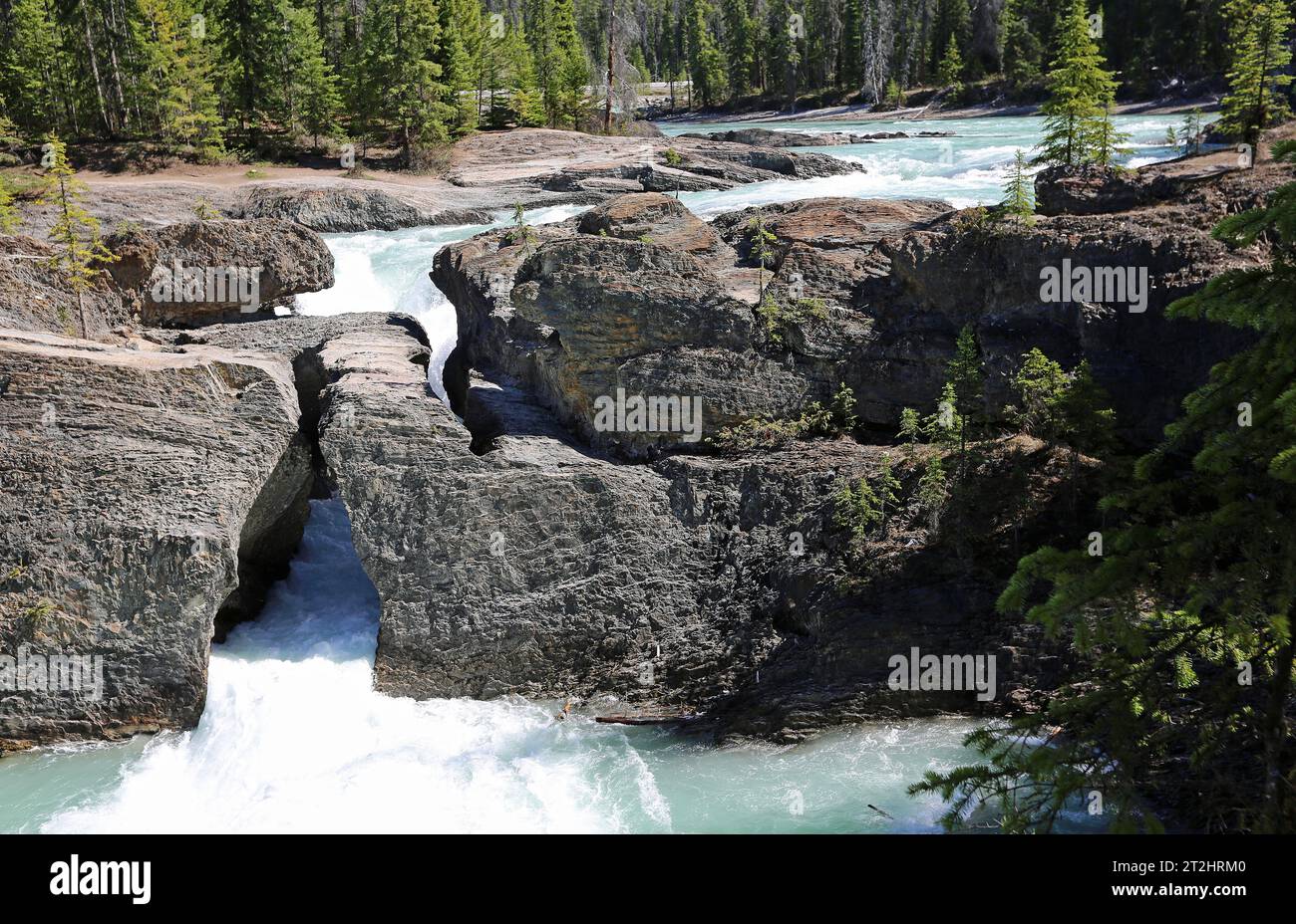 Natural bridge - Yoho National Park, Canada Stock Photo - Alamy
