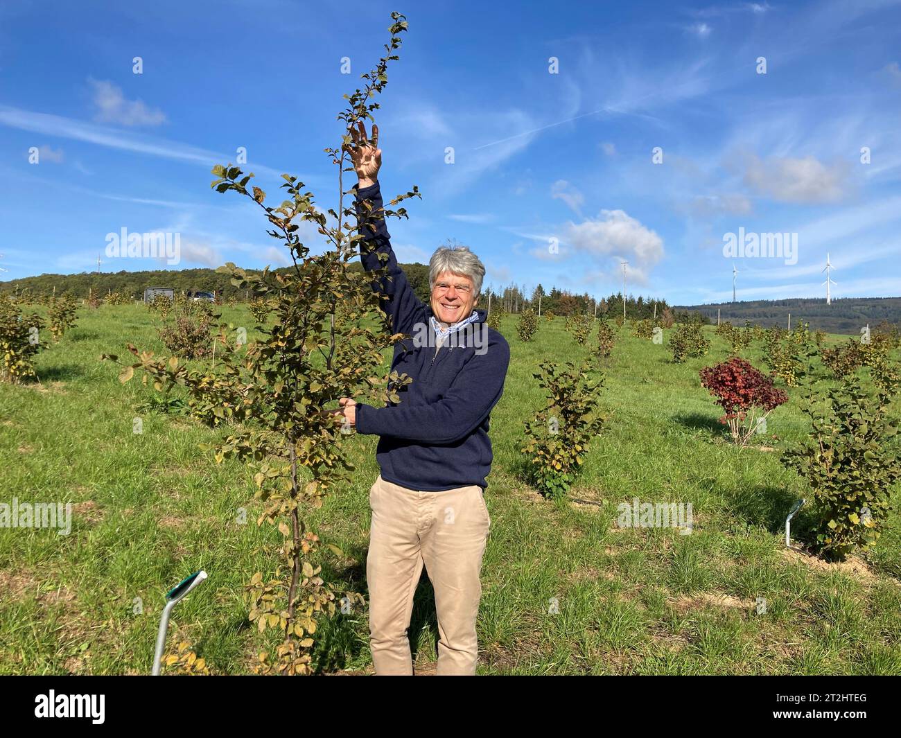 Truffle growth hi-res stock photography and images - Alamy