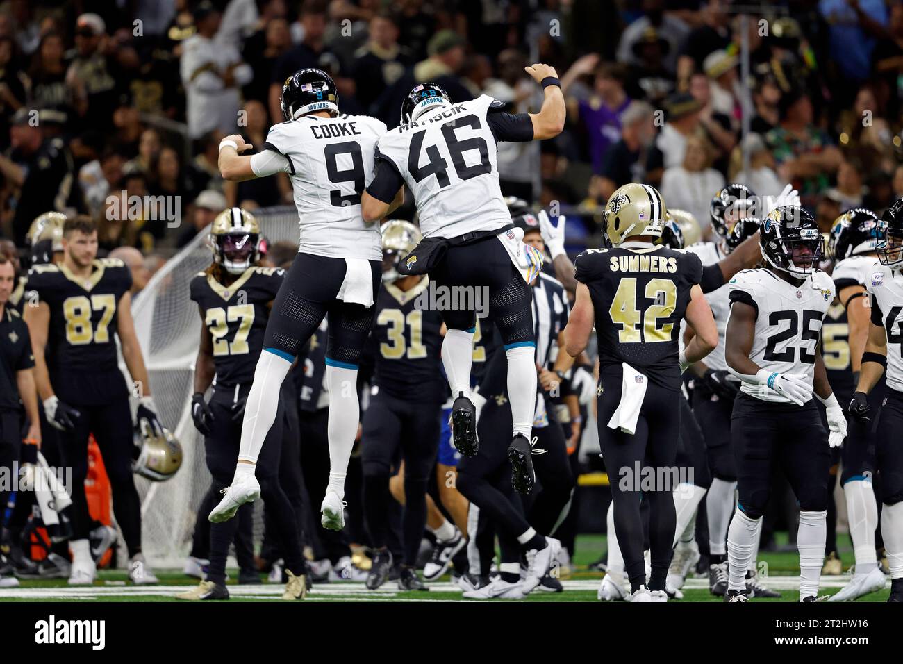 Jacksonville Jaguars punter Logan Cooke (9) and long snapper Ross ...