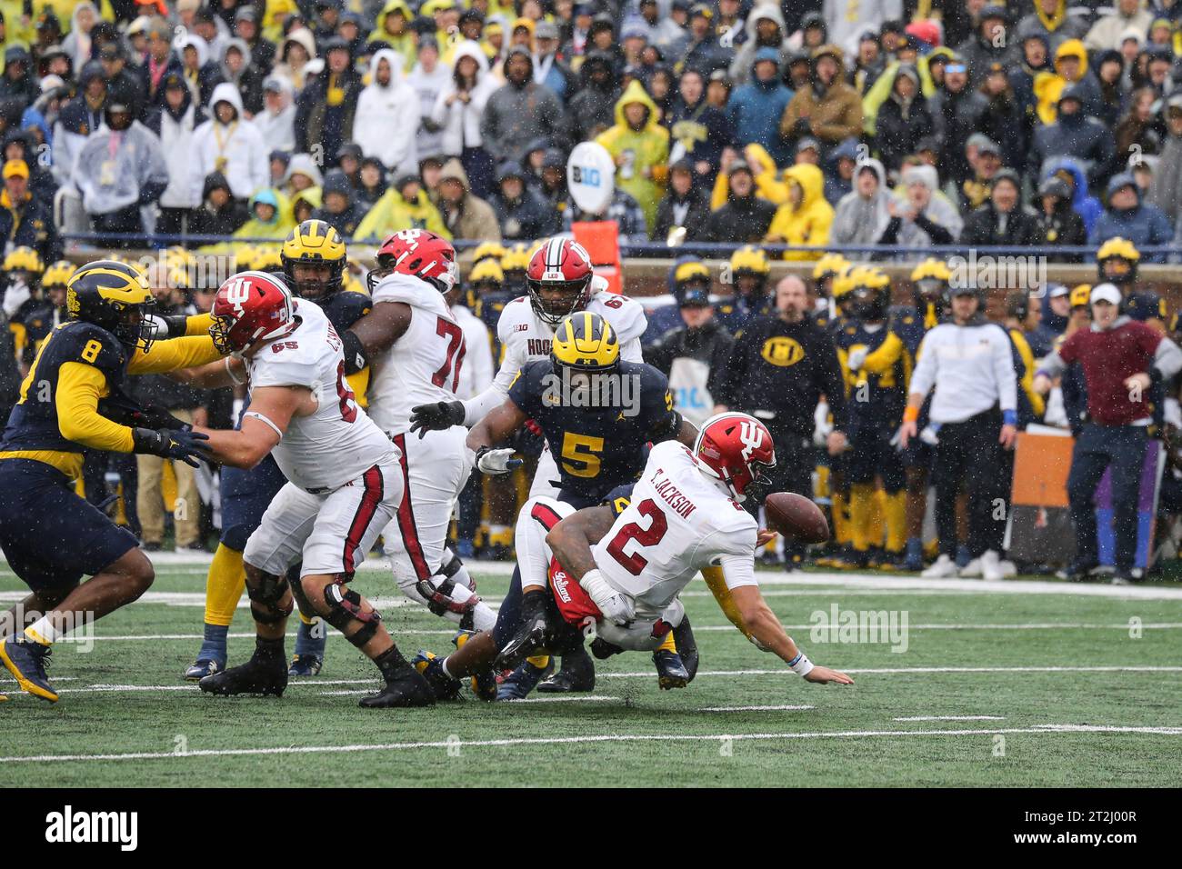 ANN ARBOR, MI - OCTOBER 14: Indiana Hoosiers quarterback Tayven Jackson ...