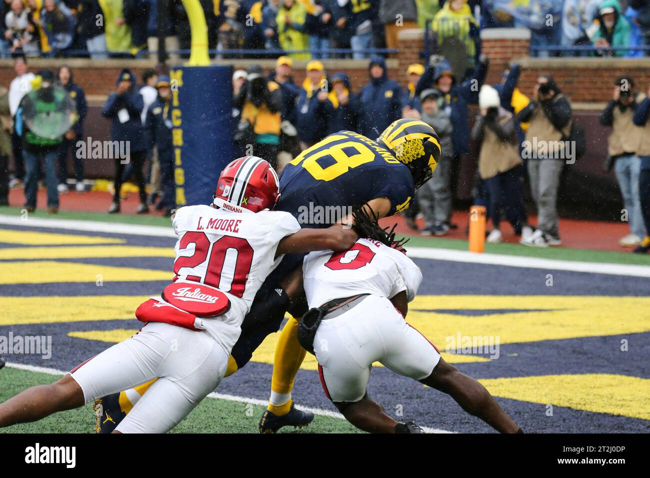 ANN ARBOR, MI - OCTOBER 14: Michigan Wolverines tight end Colston ...