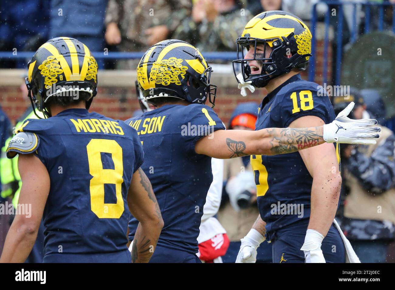 ANN ARBOR, MI - OCTOBER 14: Michigan Wolverines tight end Colston ...