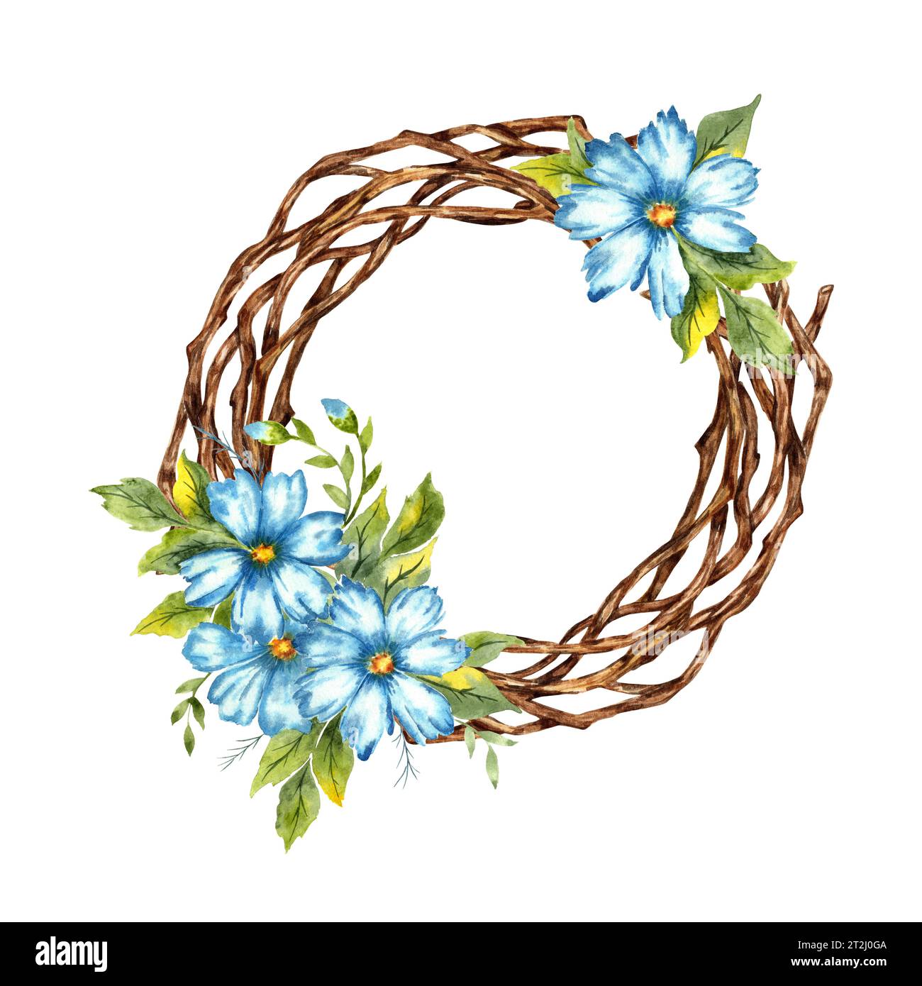 Watercolor illustration of a wreath of branches and blue flowers with ...