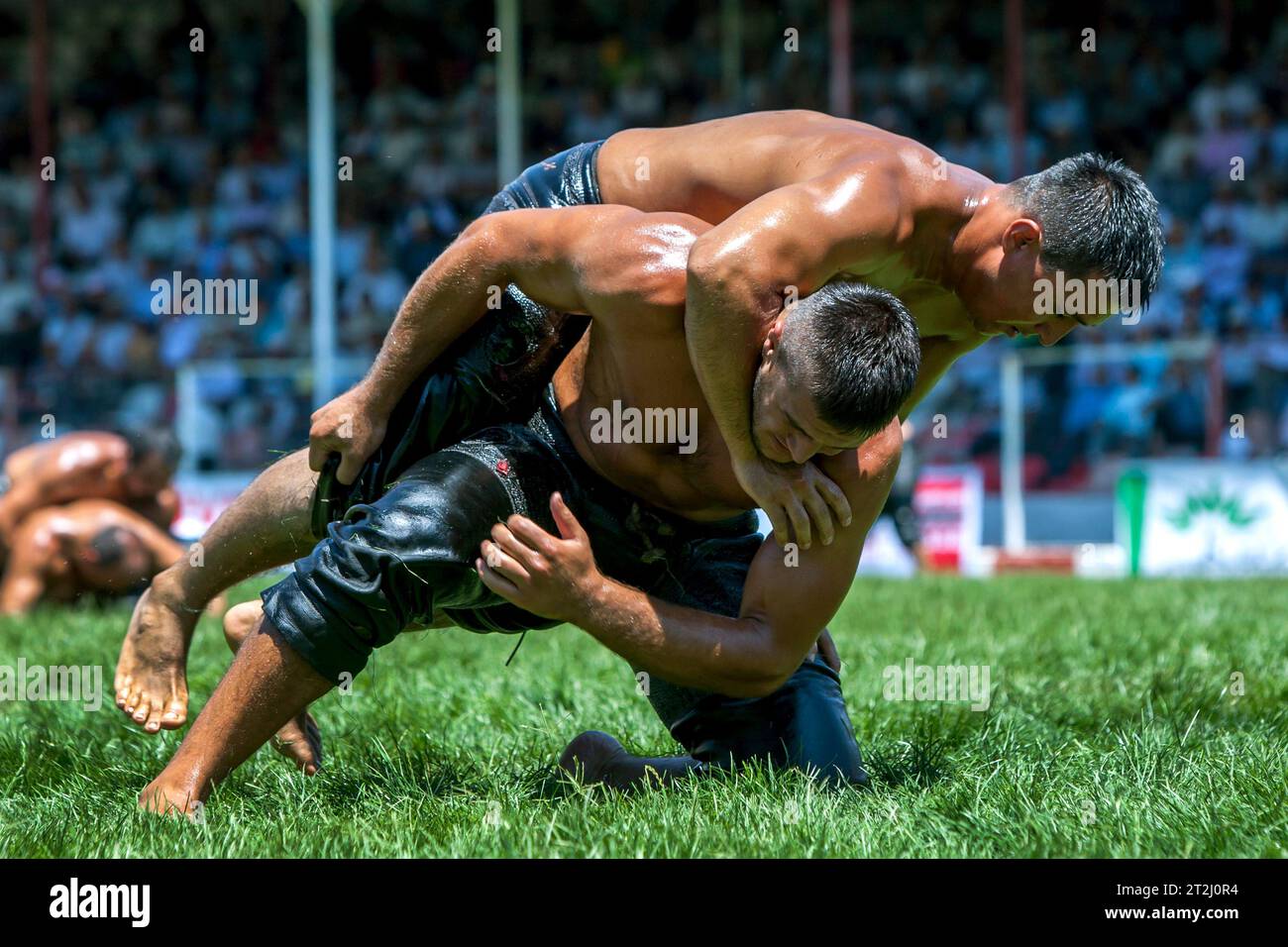 Middle weight wrestlers battle for victory on the arena at the Elmali ...