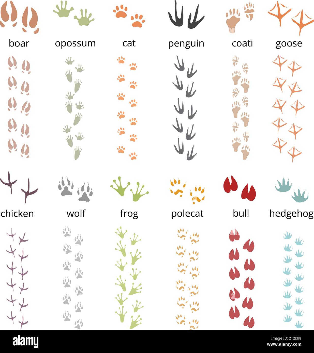 Colorful flat set of funny track footprints of different animals birds and amphibians isolated ...