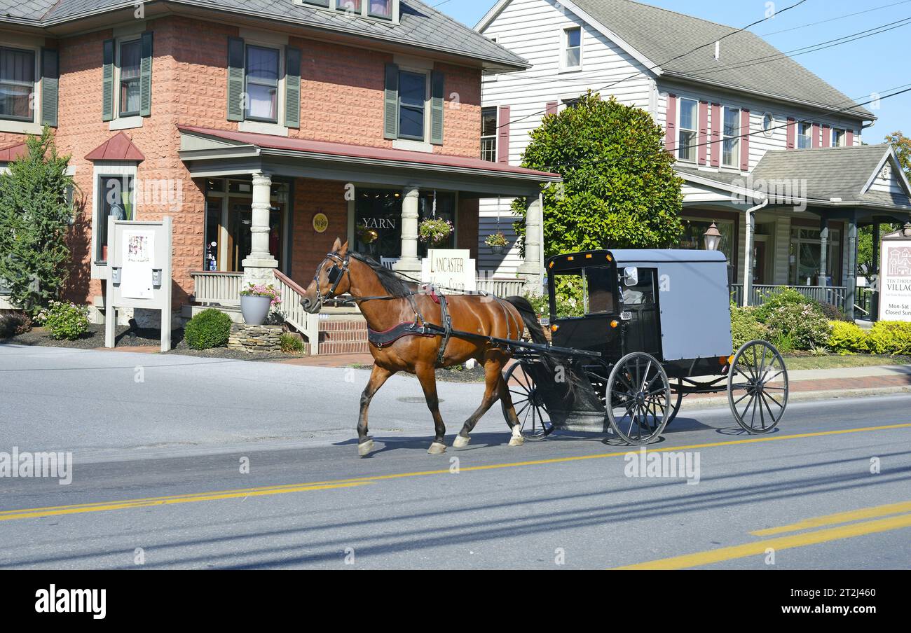 Amish horse-drawn carriage tour in Bird in Hand, a farming community in ...