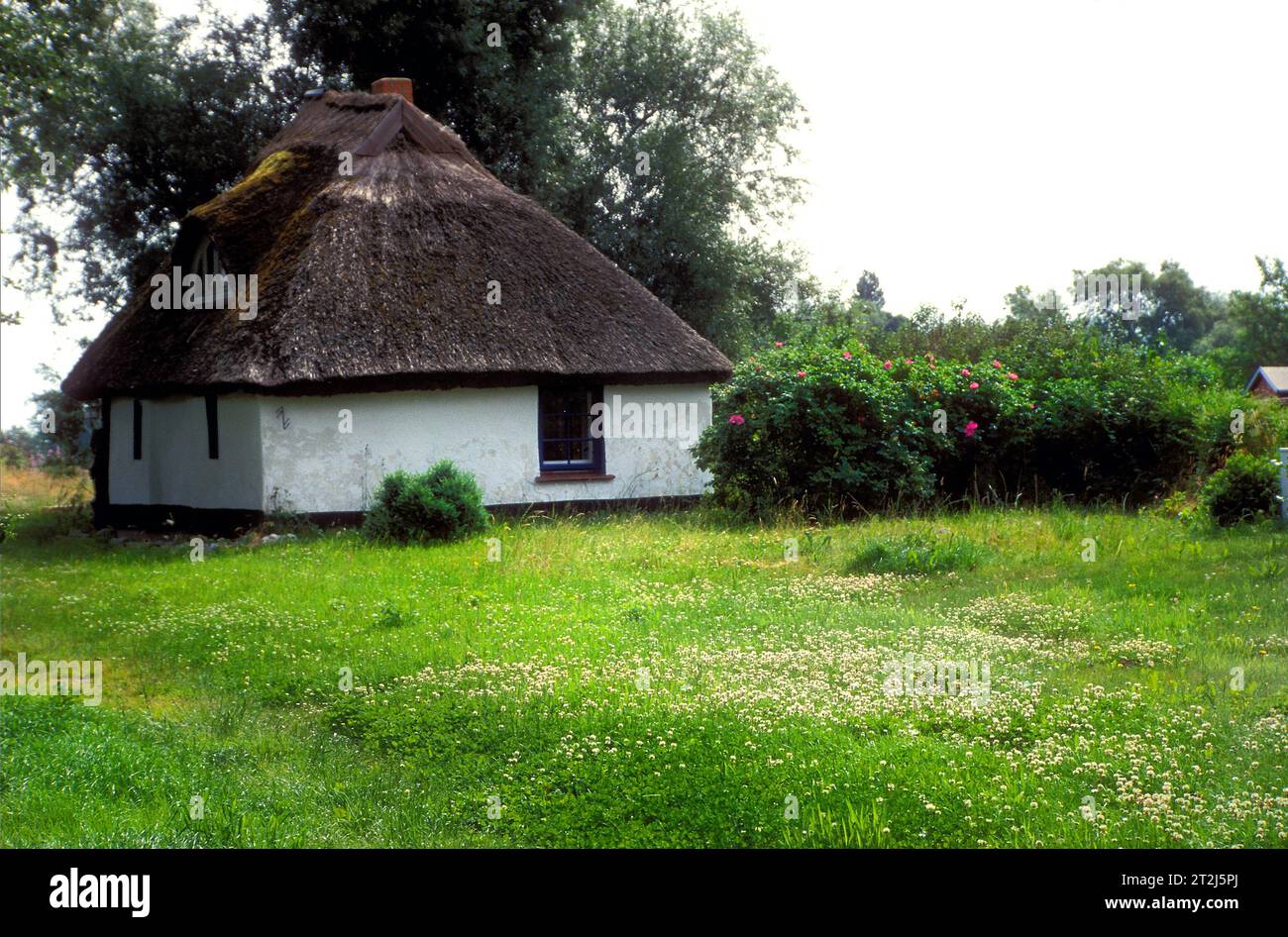 Reed House or Reethaus, Hiddensee, Germany Stock Photo - Alamy