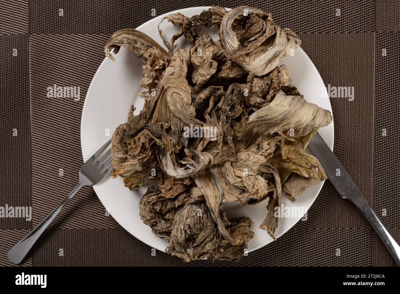 Moldy dish hi-res stock photography and images - Alamy