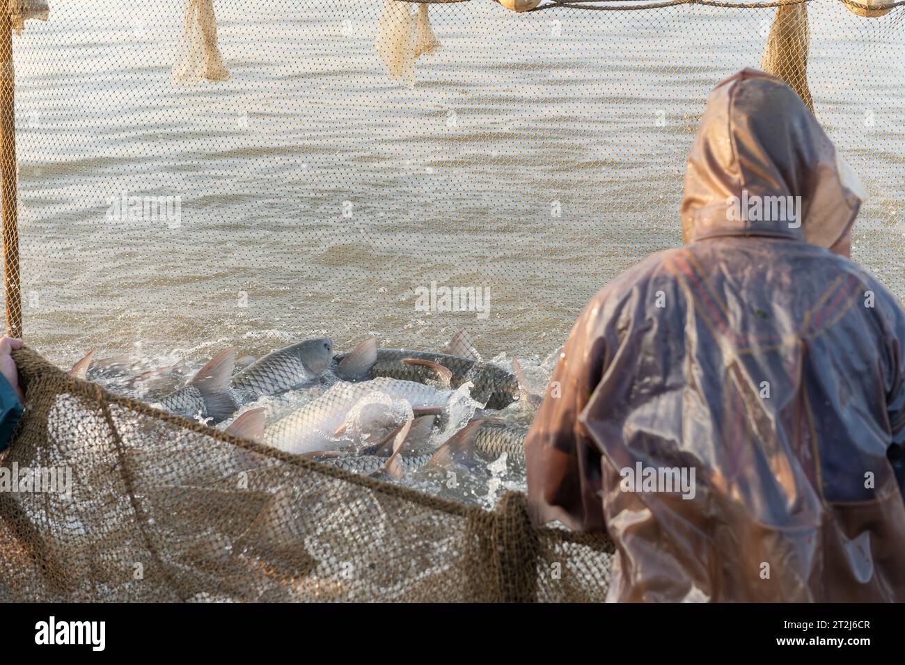 Seine netting hi-res stock photography and images - Alamy