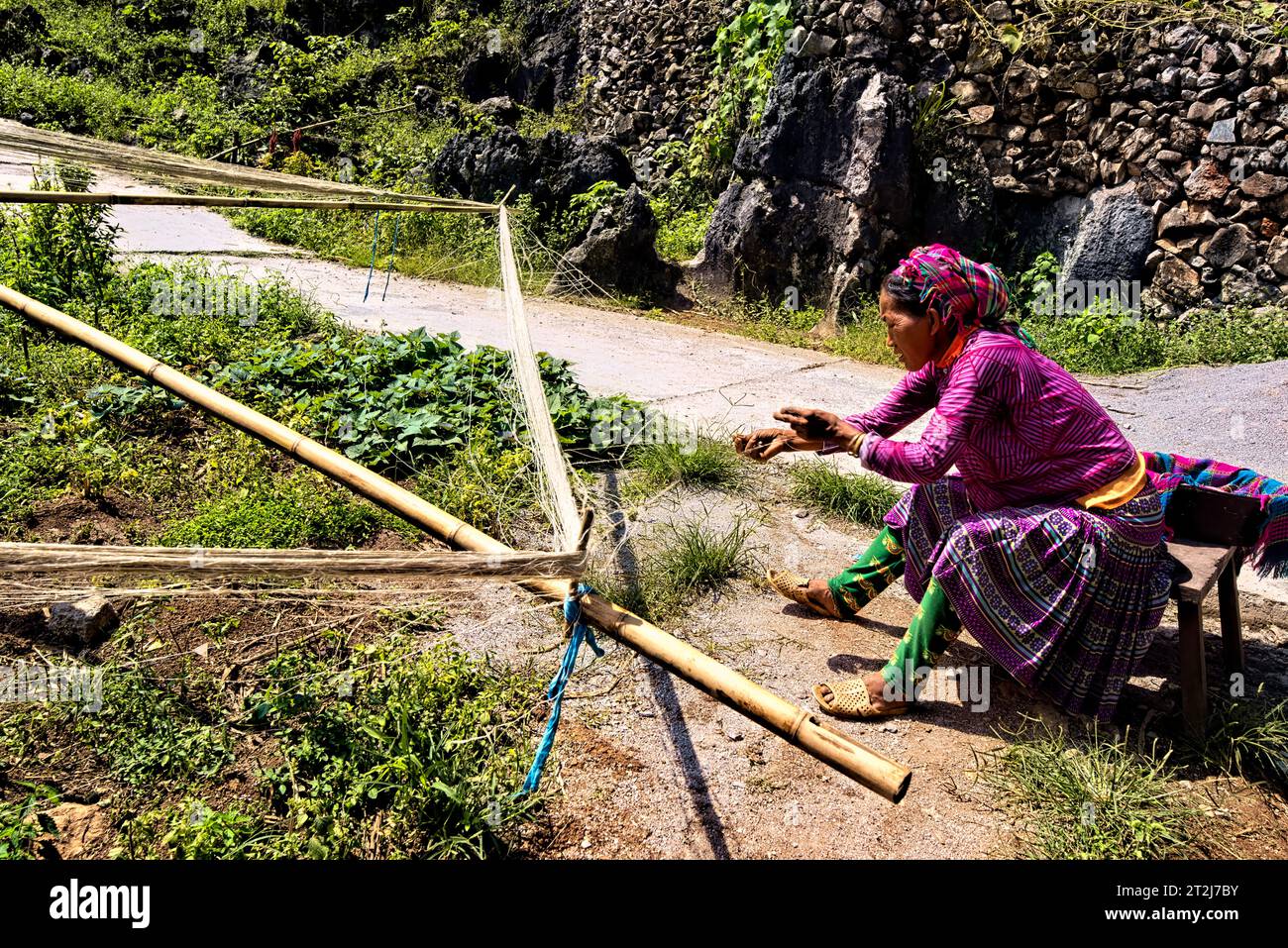 Flower Hmong woman spinning linen fibers, Ma Pi Leng, Ha Giang, Vietnam ...