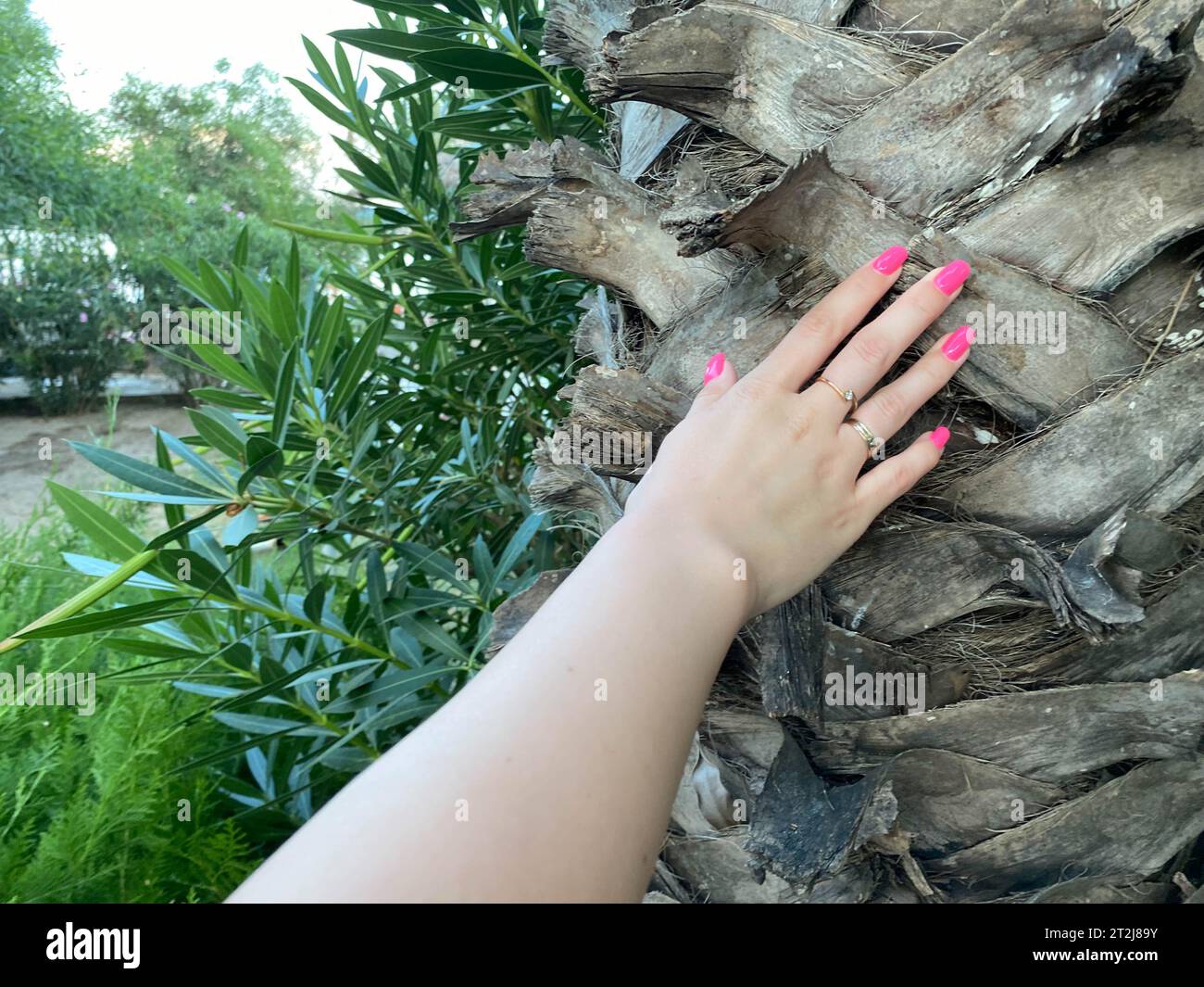 Closeup of child hand touching old tree. World Earth Day. Save the ...