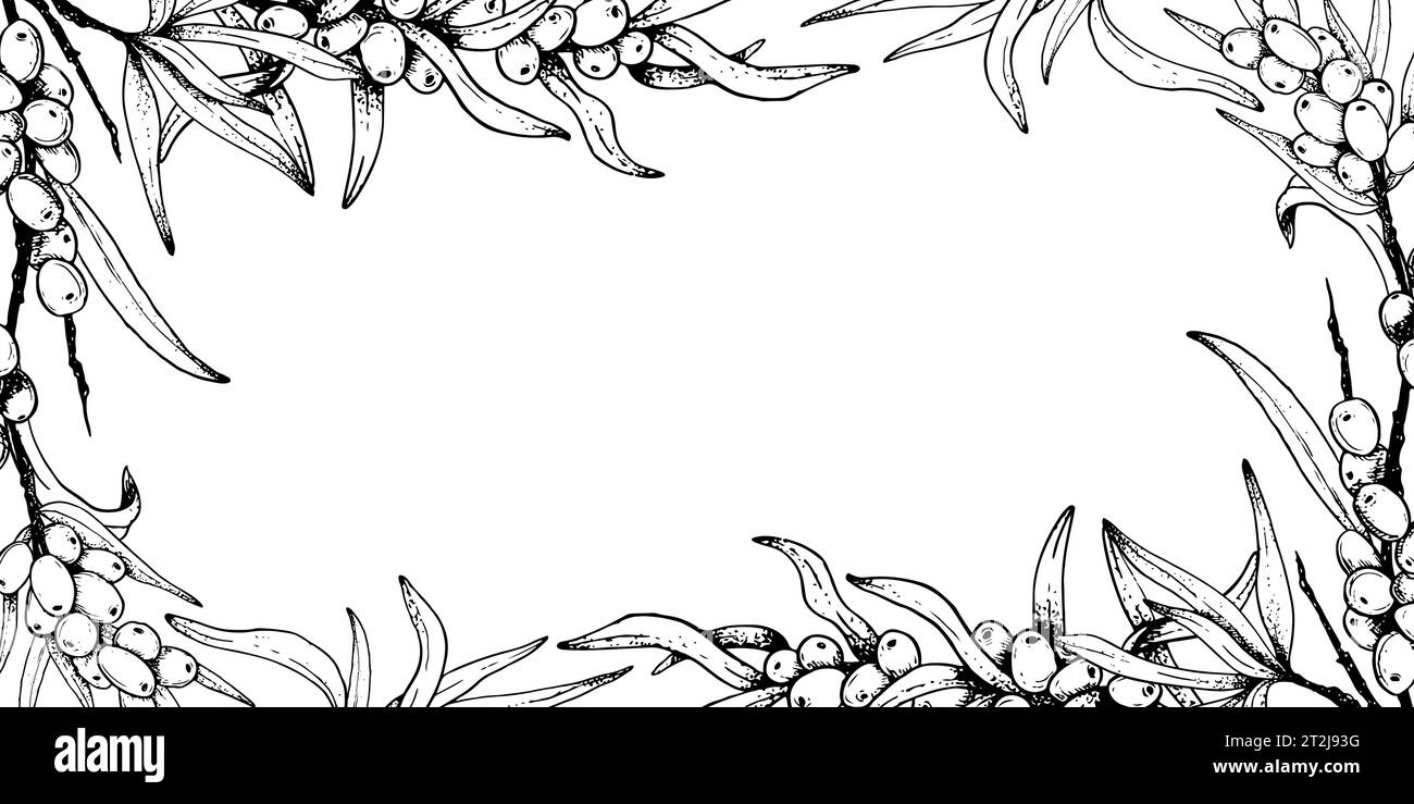 Horizontal Line Html