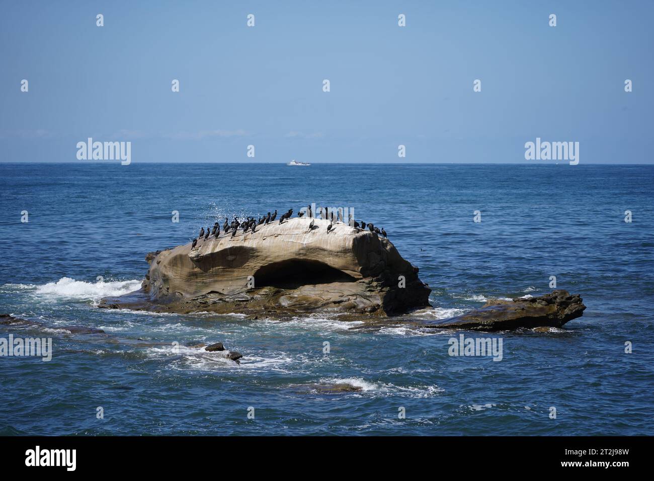 Feathery formation hi-res stock photography and images - Alamy