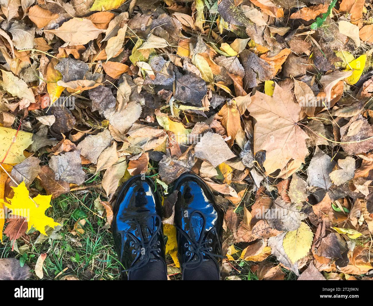 Feet in beautiful black leather smooth glossy shoes on yellow and red ...