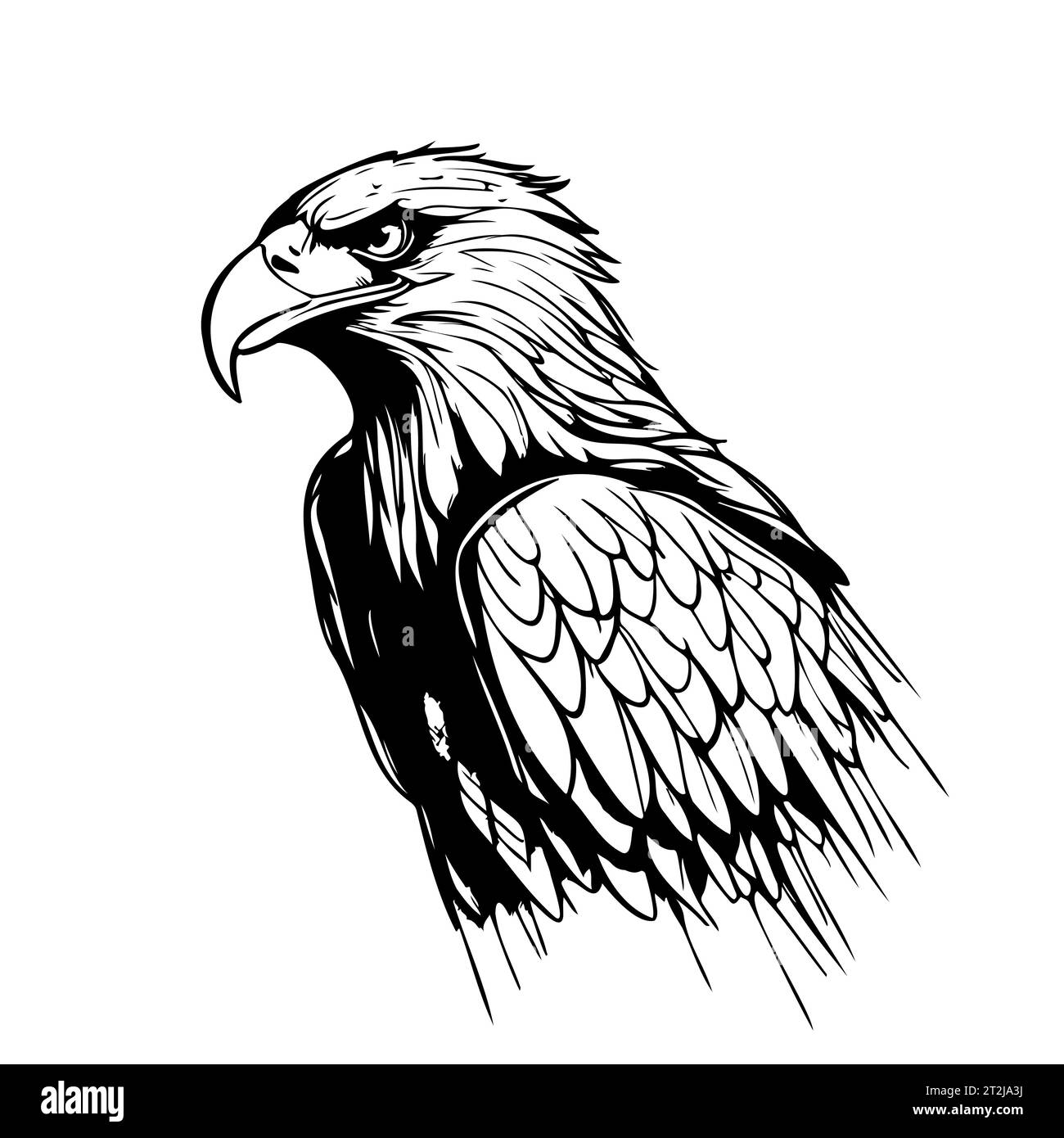 Hand drawn sketch of an eagle. Vector illustration drawn by hand Stock ...