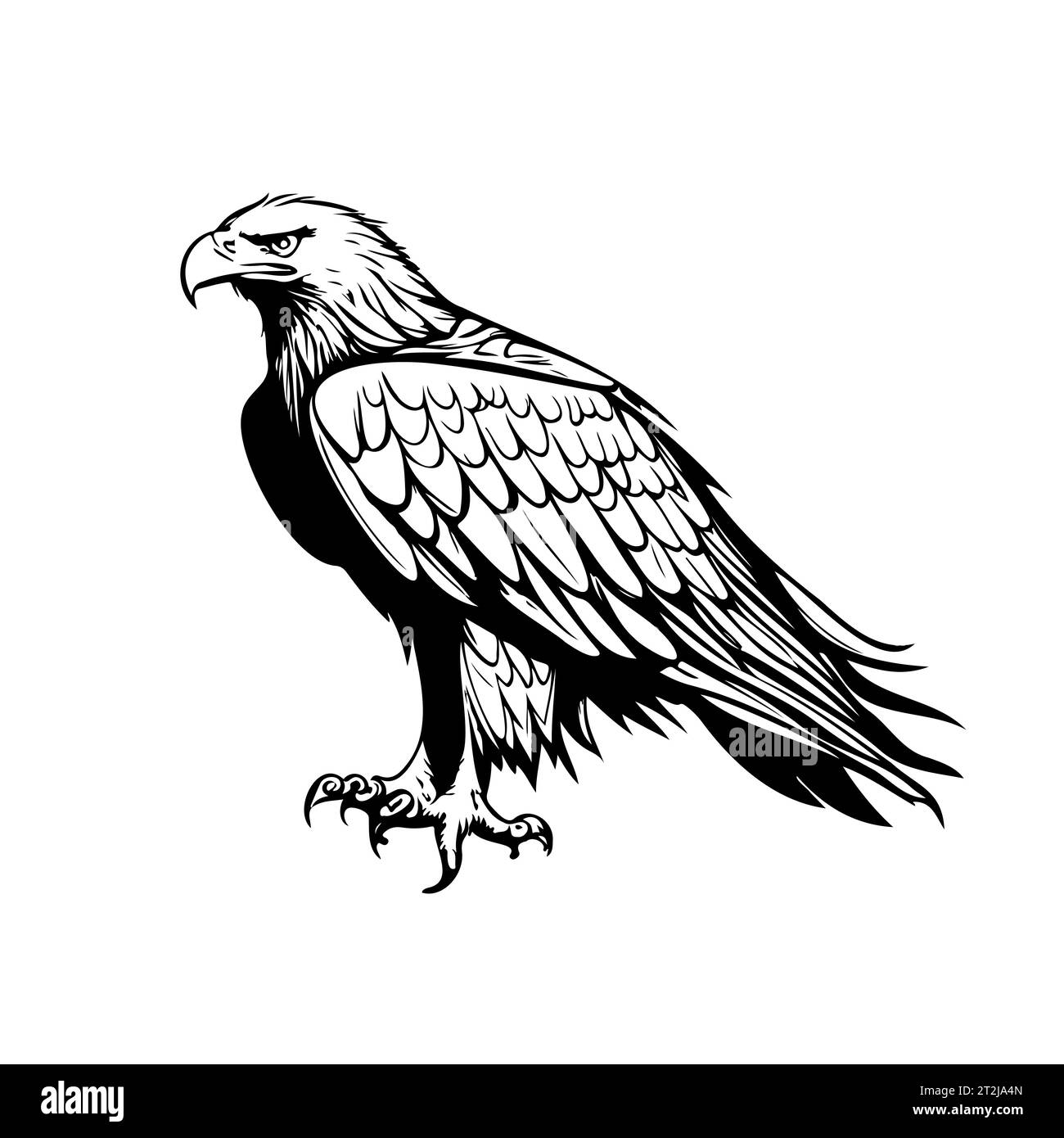Hand drawn sketch eagle head black and white vector Stock Vector Image ...