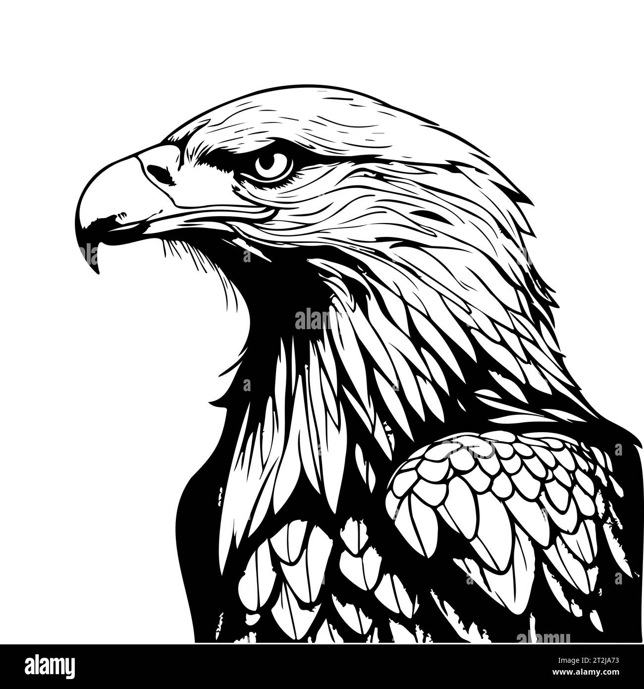 Hand drawn sketch of an eagle. Vector illustration drawn by hand Stock ...