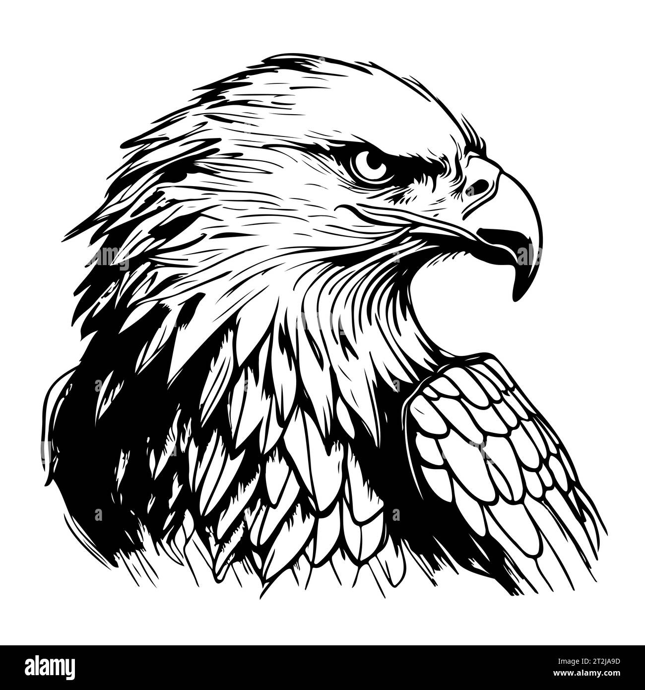 Hand drawn sketch of an eagle. Vector illustration drawn by hand Stock ...