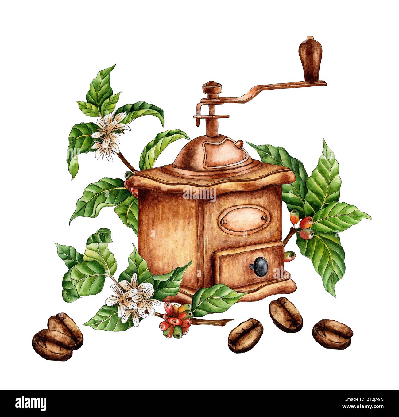 Watercolor illustration of a wooden retro coffee grinder, twigs, coffee ...