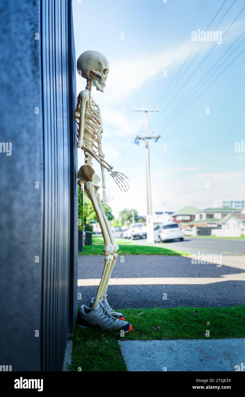 Halloween - Skeleton leaning on the fence wall, unrecognizable houses ...
