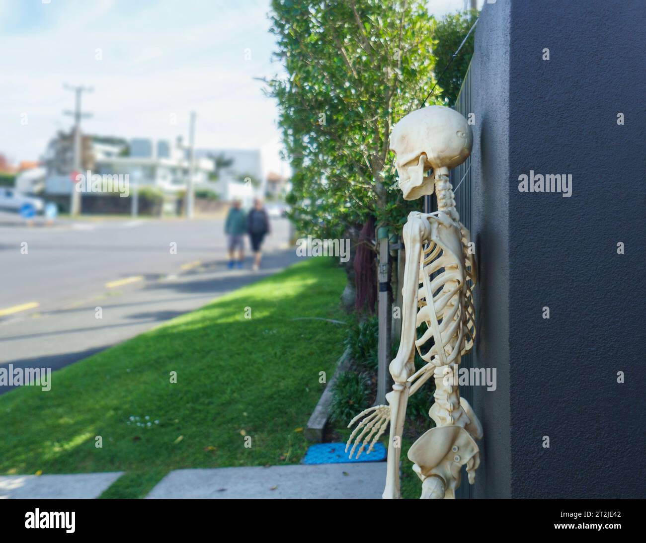 Halloween - Skeleton leaning on the fence wall, unrecognizable people ...