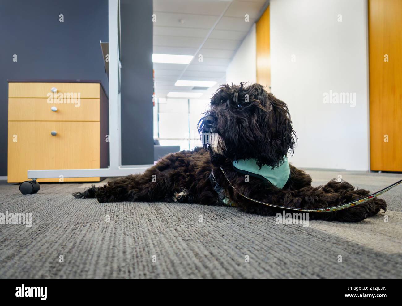 Friendly workplace hi-res stock photography and images - Alamy