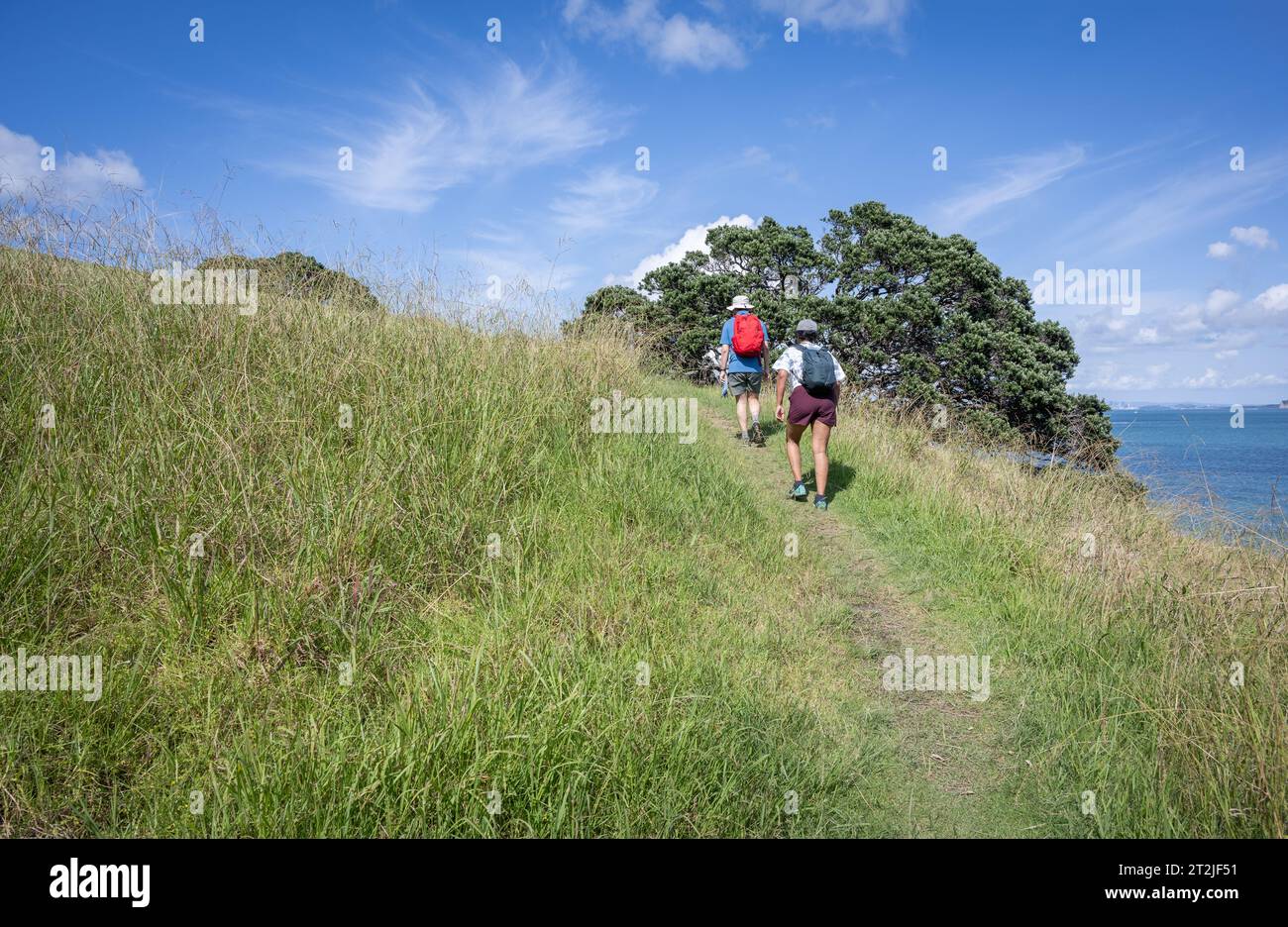Couple hiking the Waiheke Island Coastal Track. Hauraki Gulf, New ...