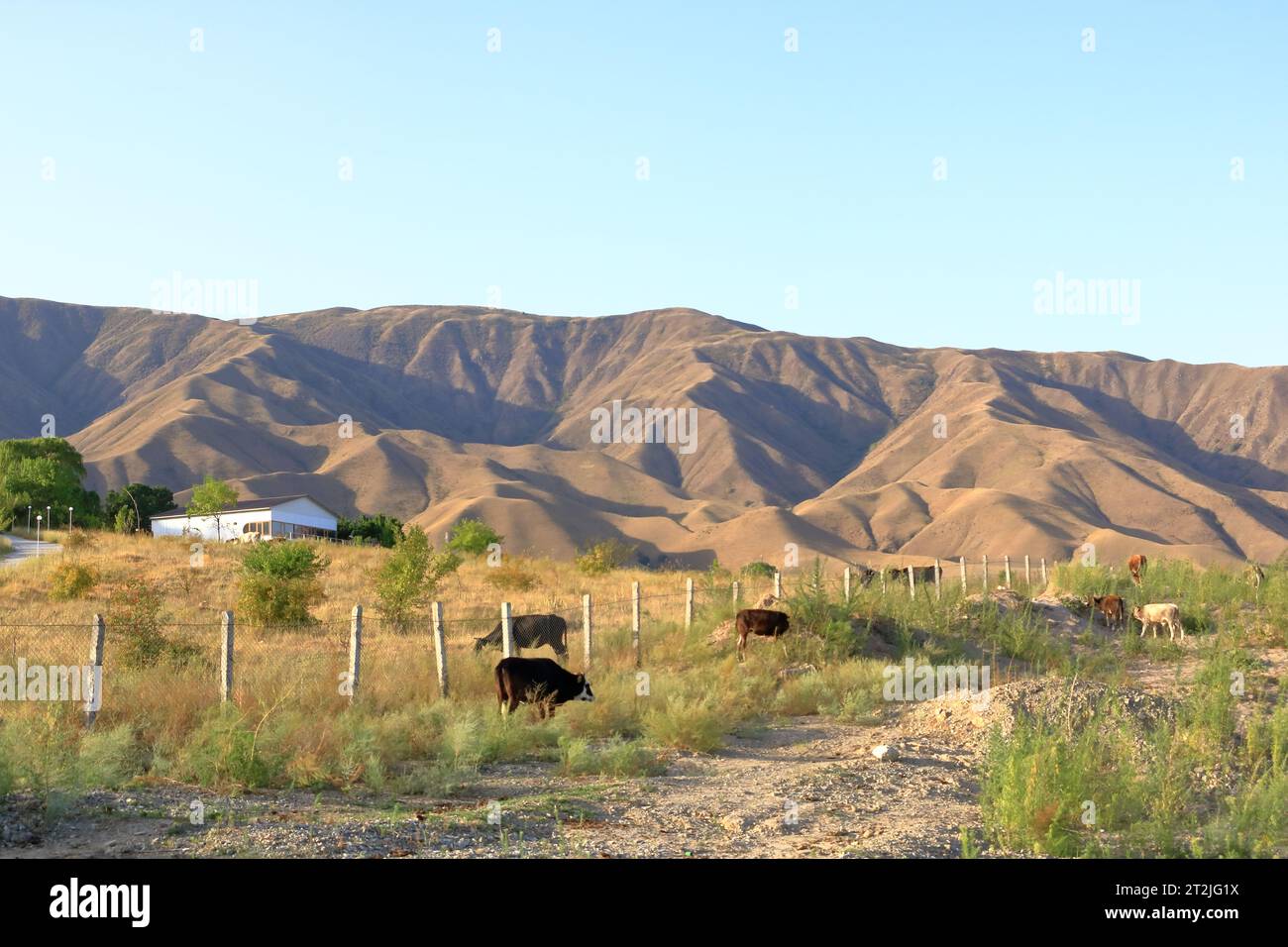 the Beautiful mountain landscape at the Toktogul water reservoir in ...