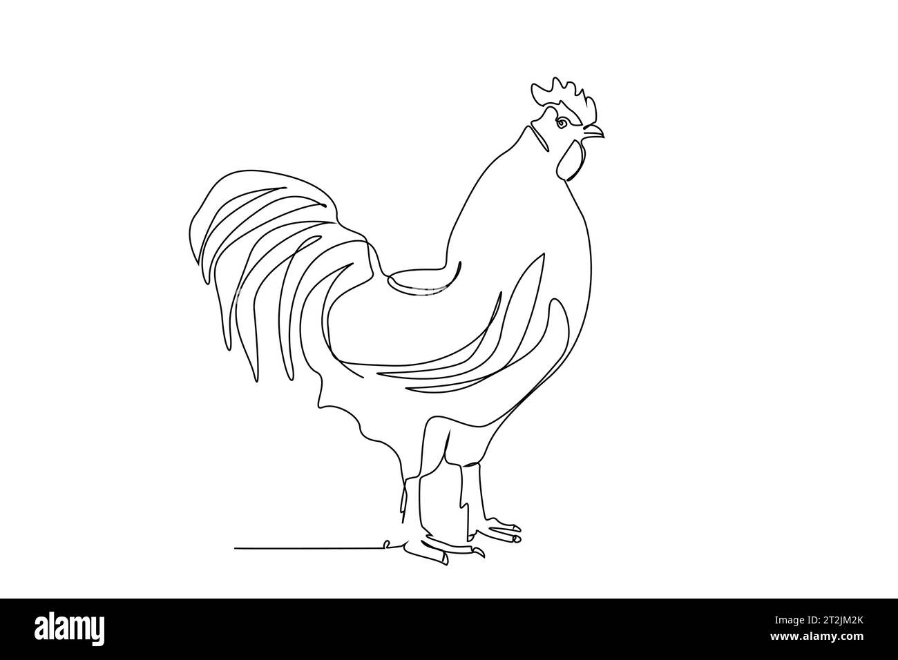 chicken rooster egg animal farm line art Stock Vector Image & Art - Alamy