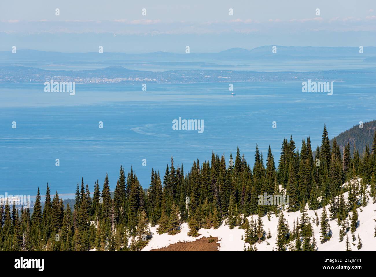 Hurricane Ridge in Olympic National Park Stock Photo - Alamy