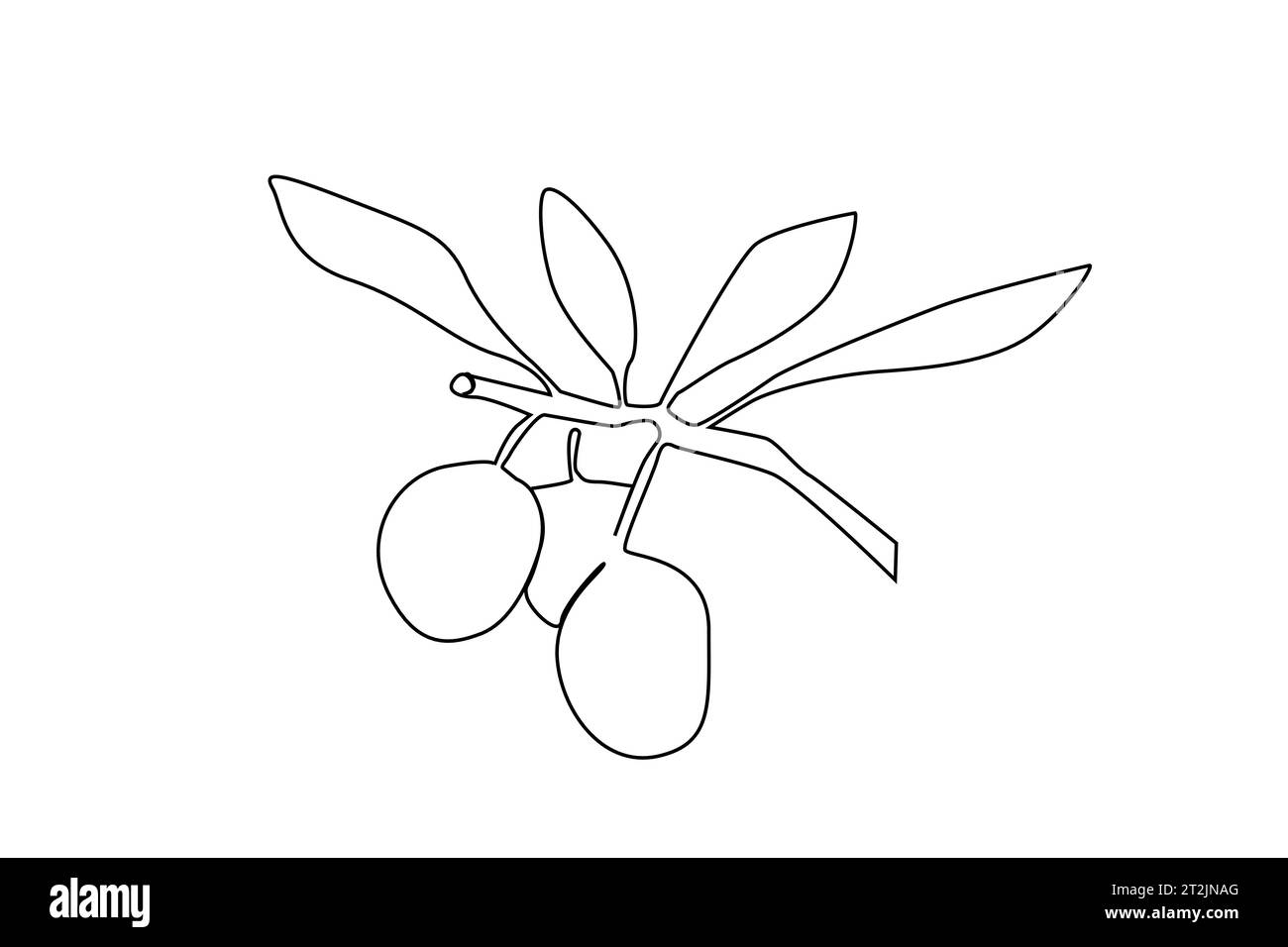 Olive tree icon cartoon Stock Vector Images - Alamy