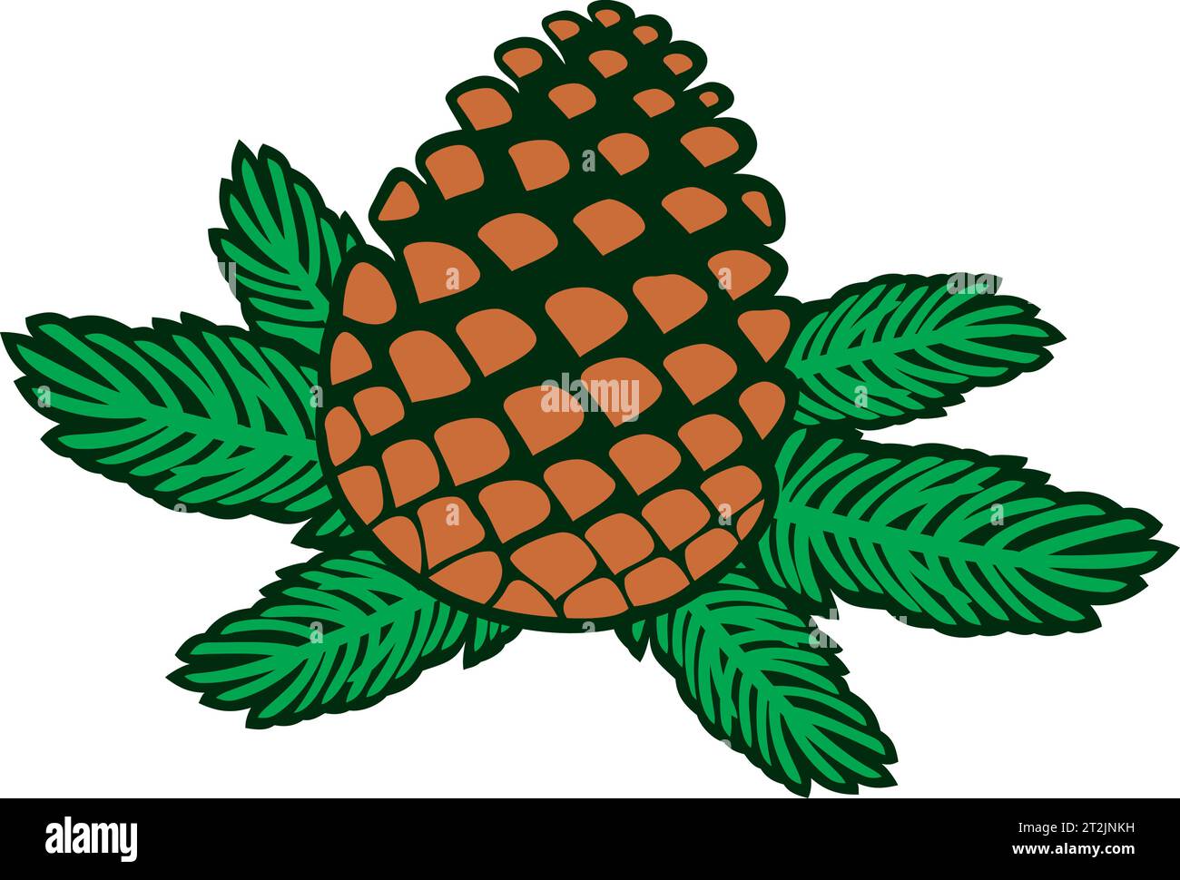 Pine branch green cone Stock Vector Images - Alamy