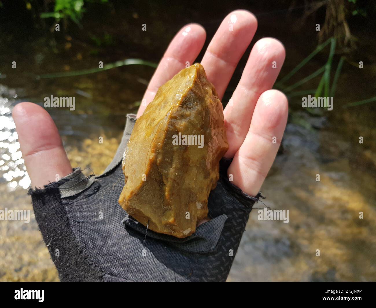 Mesolithic neolithic hi-res stock photography and images - Alamy