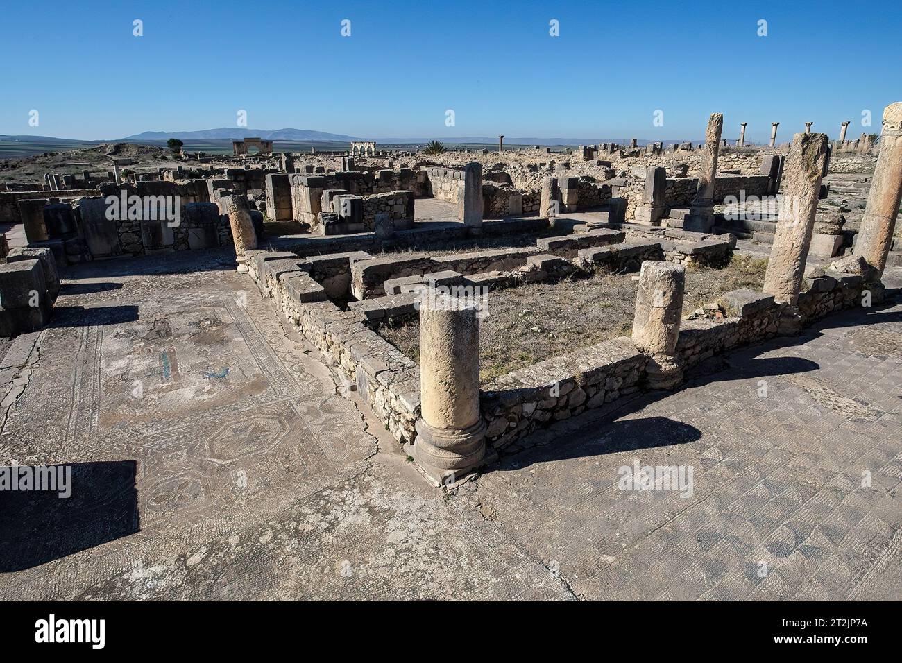 Volubilis mosaics hi-res stock photography and images - Alamy