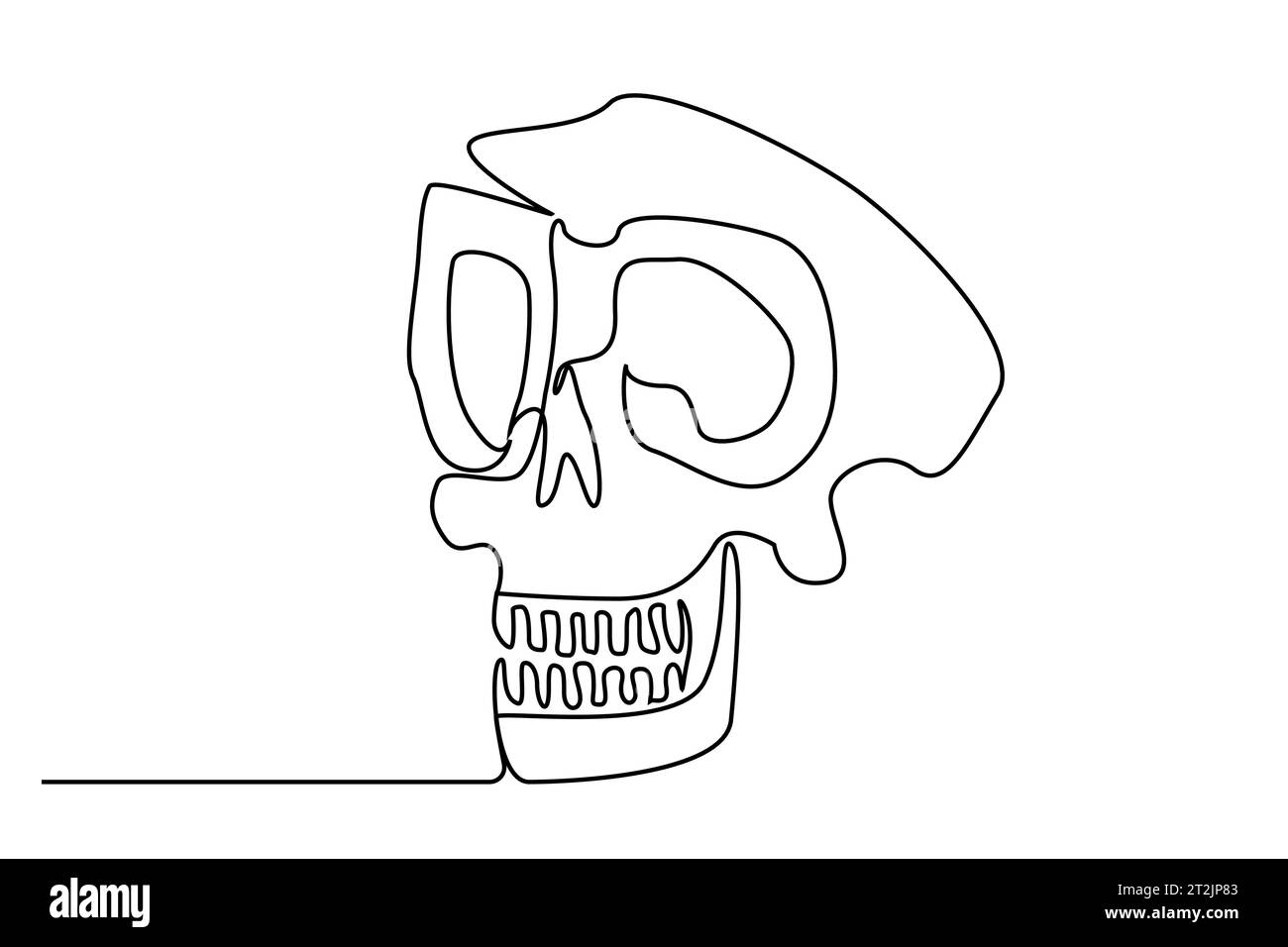 Line art skull Cut Out Stock Images & Pictures - Alamy