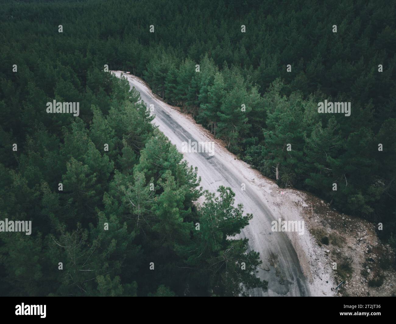 Aerial view autumn pathway trees hi-res stock photography and images ...