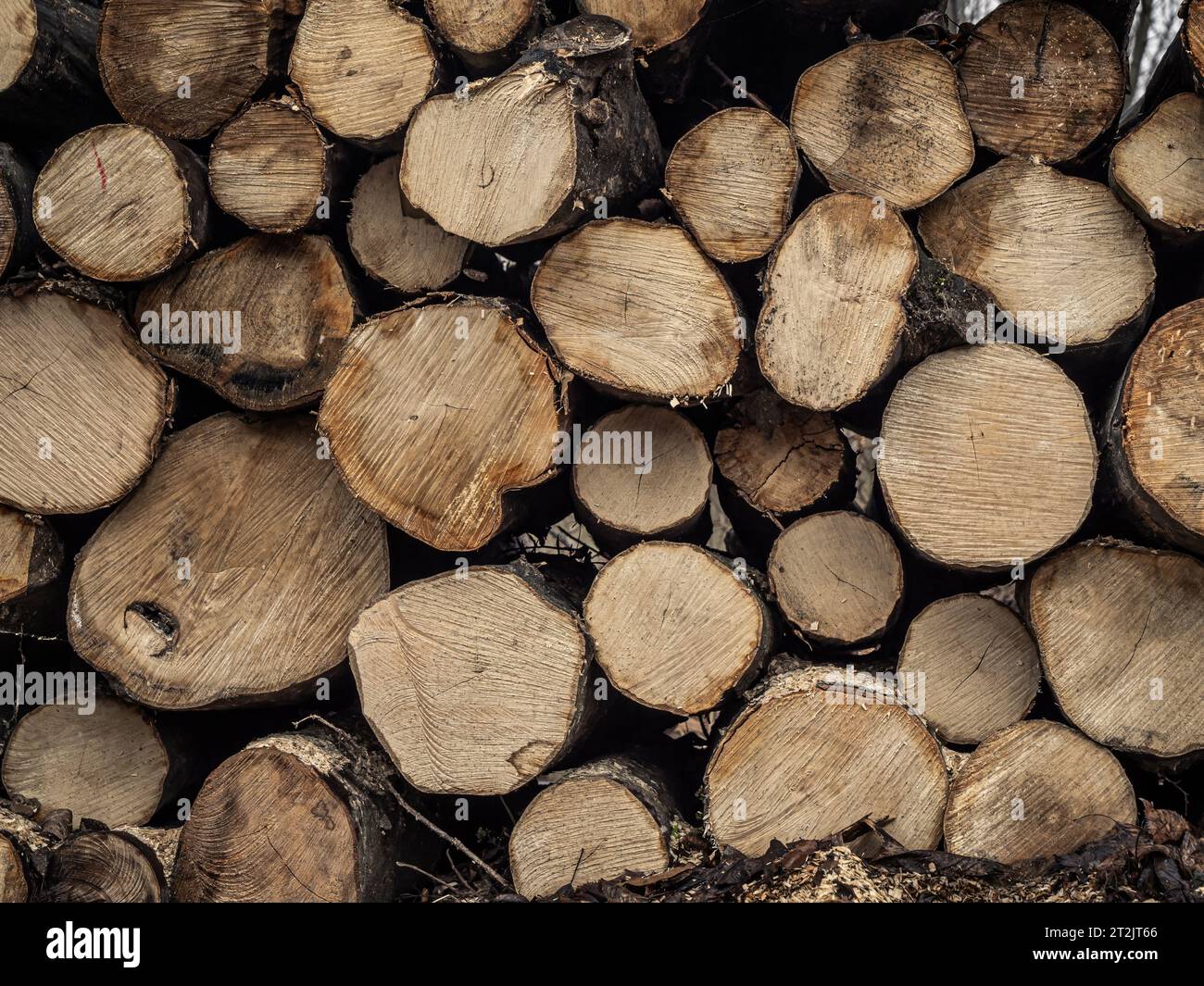 Closeup shot of a hardwood log pile, frontal view, texture, background ...