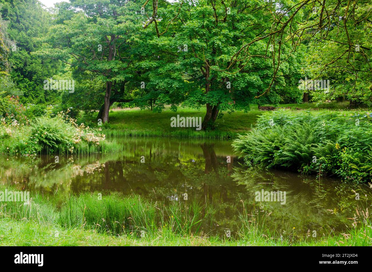 Saintfield, County Down, Northern Ireland, July 16 2023 - The pond in ...