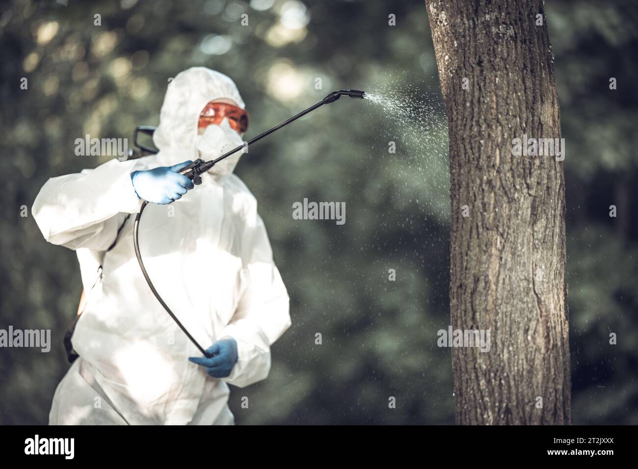A worker sprays pesticides on trees outdoors. Tree pest control Stock ...