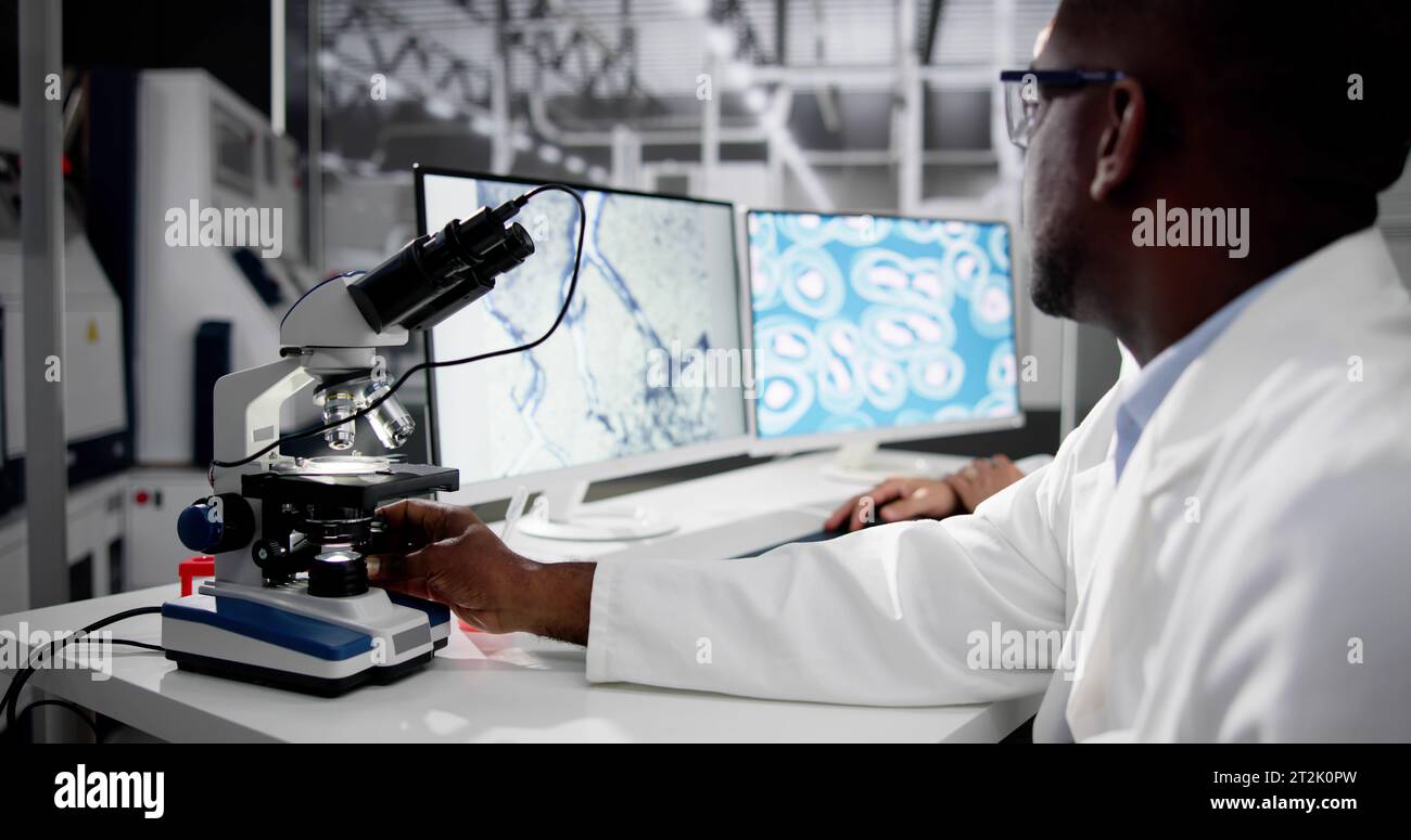 Research Lab Scientist Using Computer. Medical Science Stock Photo - Alamy