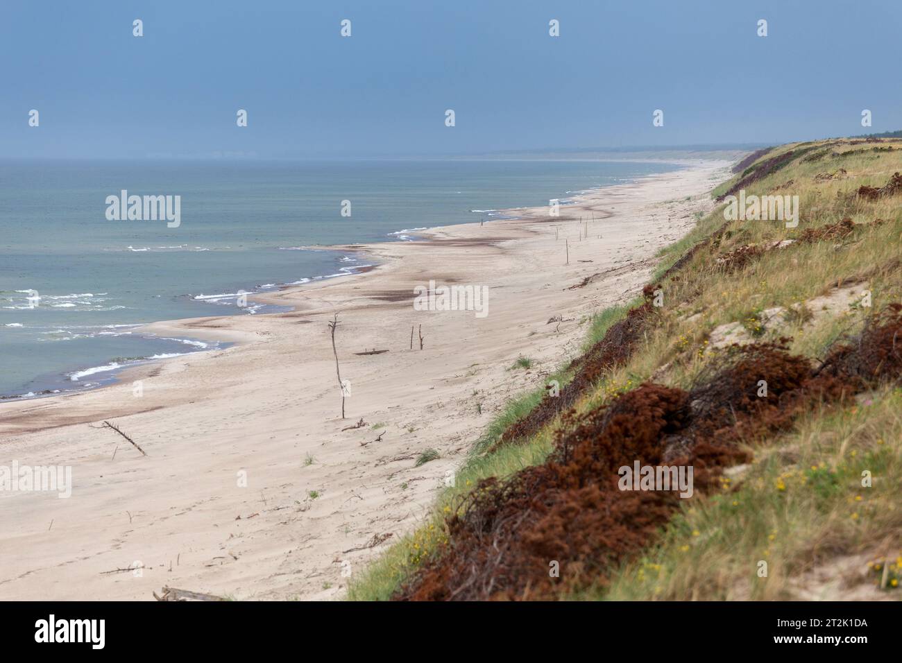 Curonian peninsula hi-res stock photography and images - Alamy