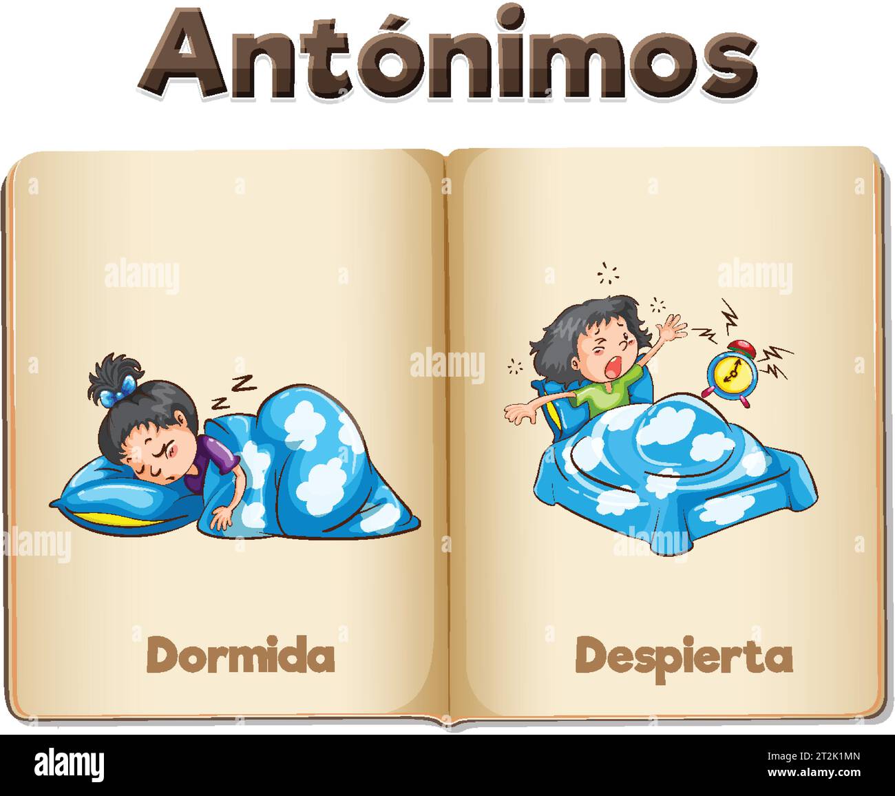 Colorful vector illustration of antonym word card in Spanish language ...