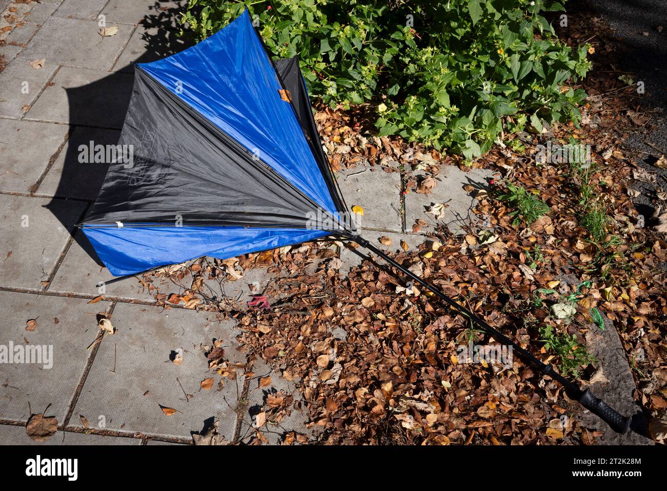 Collapsed broken umbrella hi-res stock photography and images - Alamy
