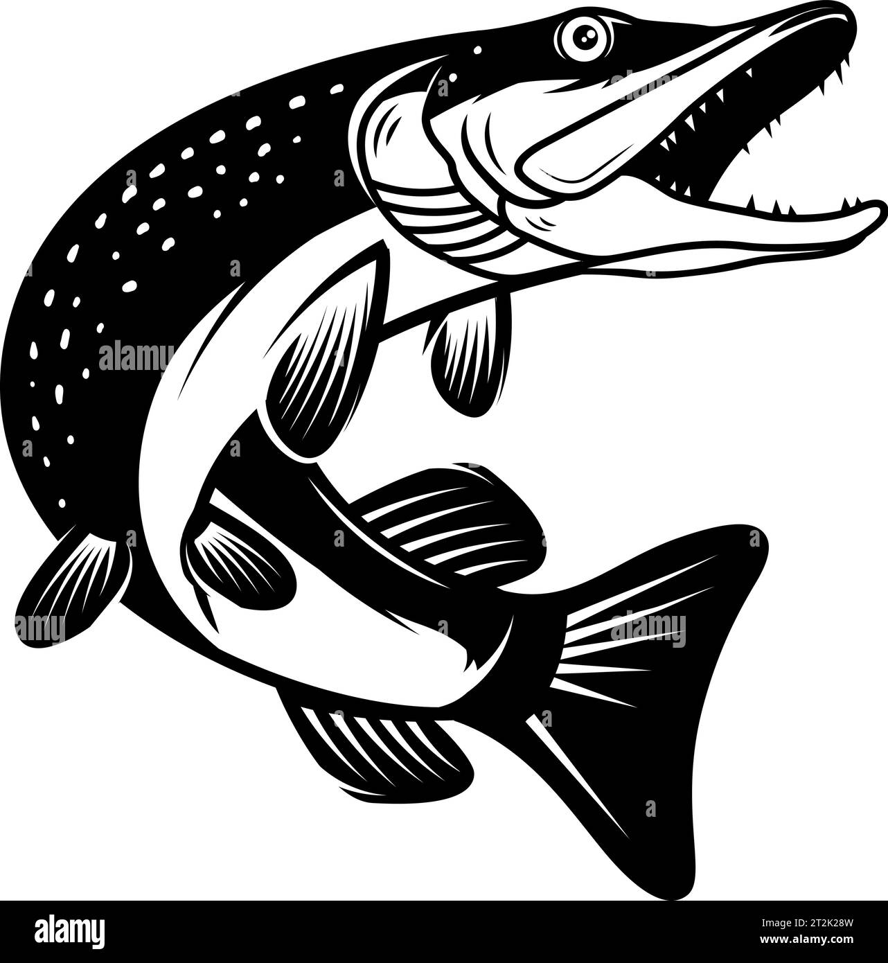 Great northern pike vector vectors Cut Out Stock Images & Pictures - Alamy