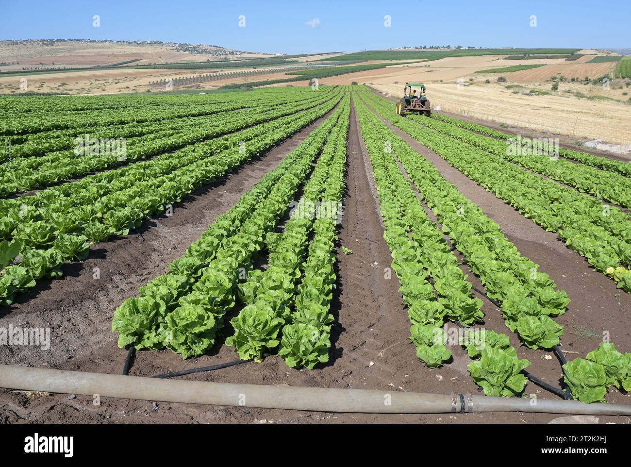 ISRAEL, Jabneel or Jawneel or Javneel near Tiberias, 50 ha fruit and ...