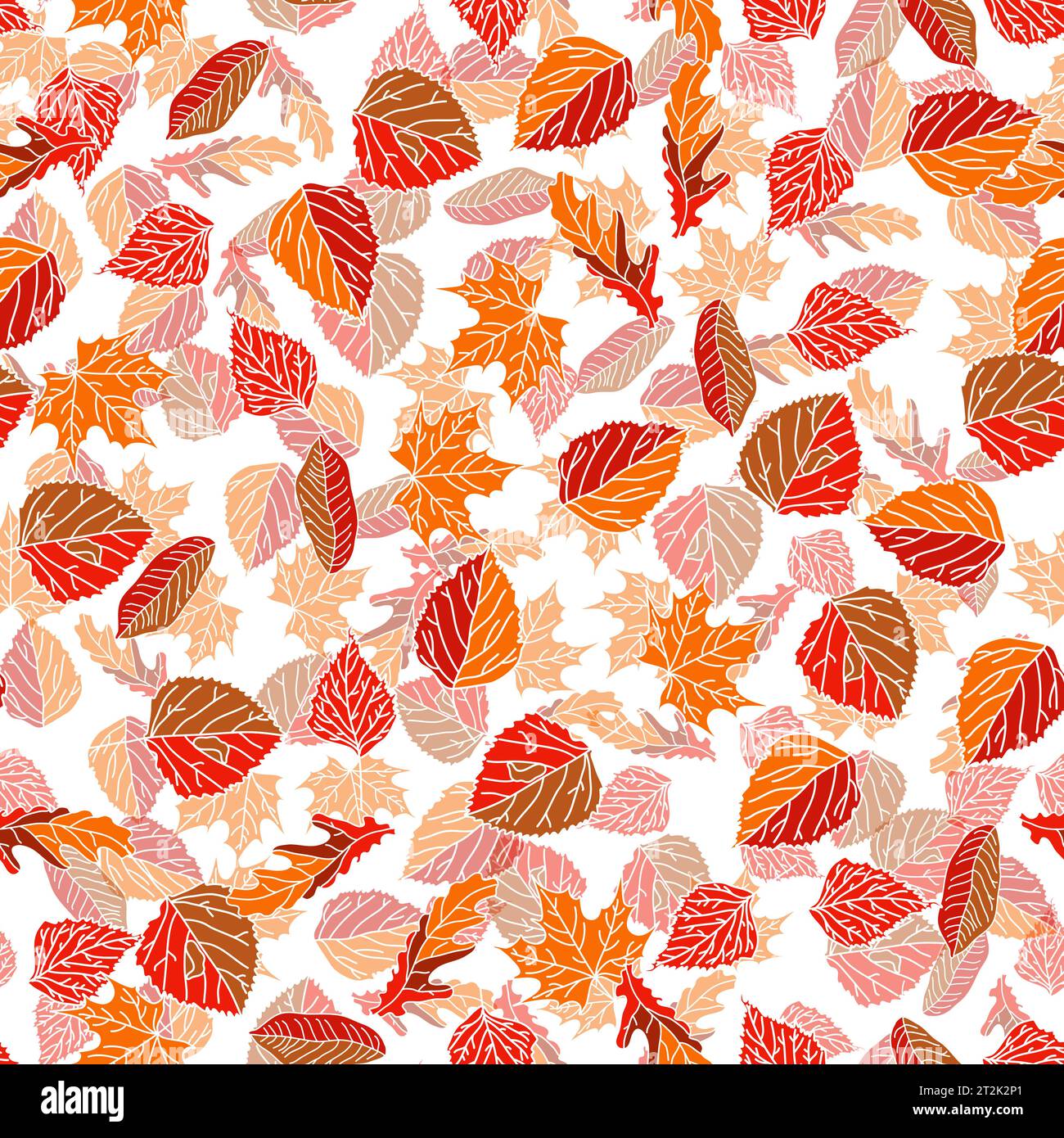 Birch maple trees fall Stock Vector Images - Alamy