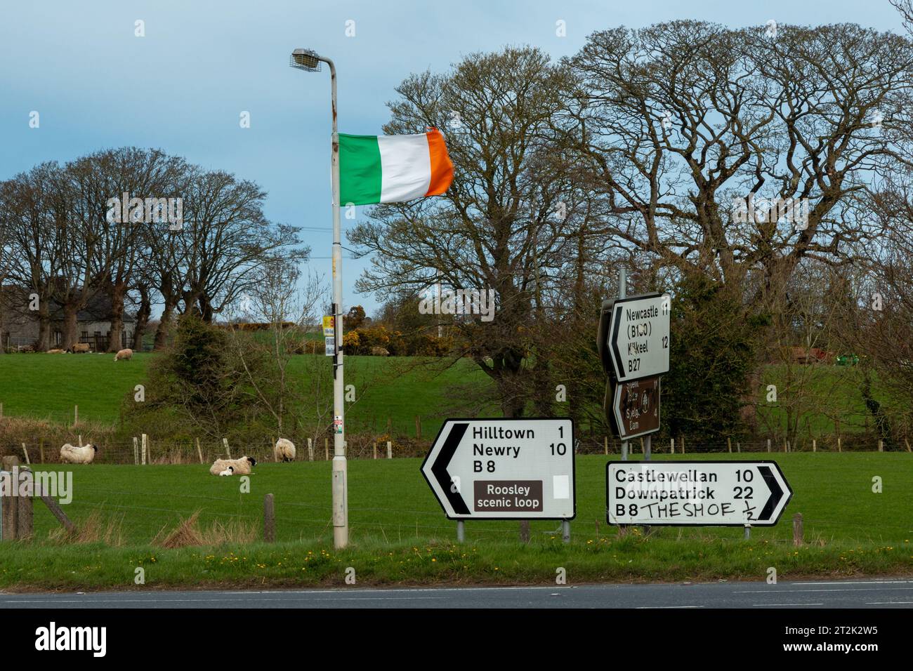 The flag of the Republic of Ireland flies over road signs, with quirky ...
